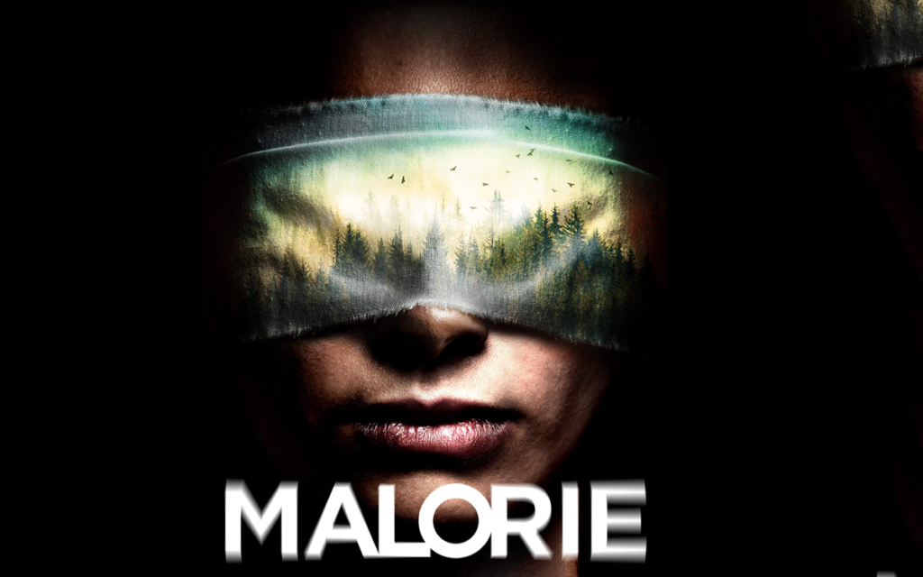'A ciegas' ('Bird Box') tendrá spin-off en España: los hermanos Pastor ...