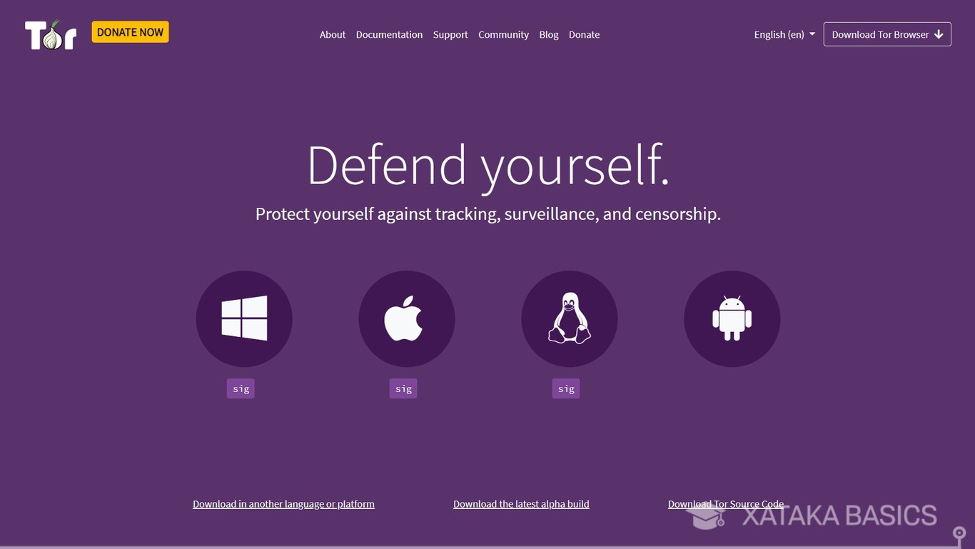 Cómo entrar en la Deep Web: guía 2023 para entrar en TOR, ZeroNet, Freenet e I2P