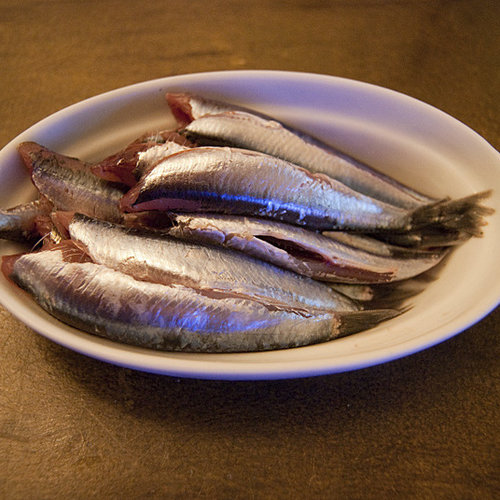 anisakis - Directo al Paladar