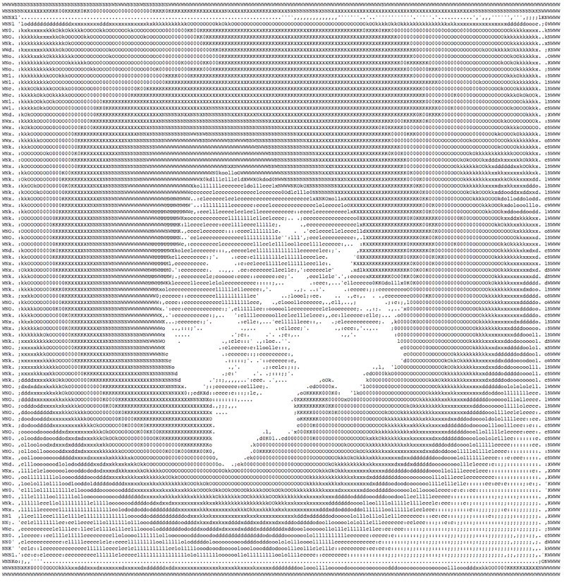 Facebook convierte tus fotos a ASCII Art (y tú también puedes hacerlo)