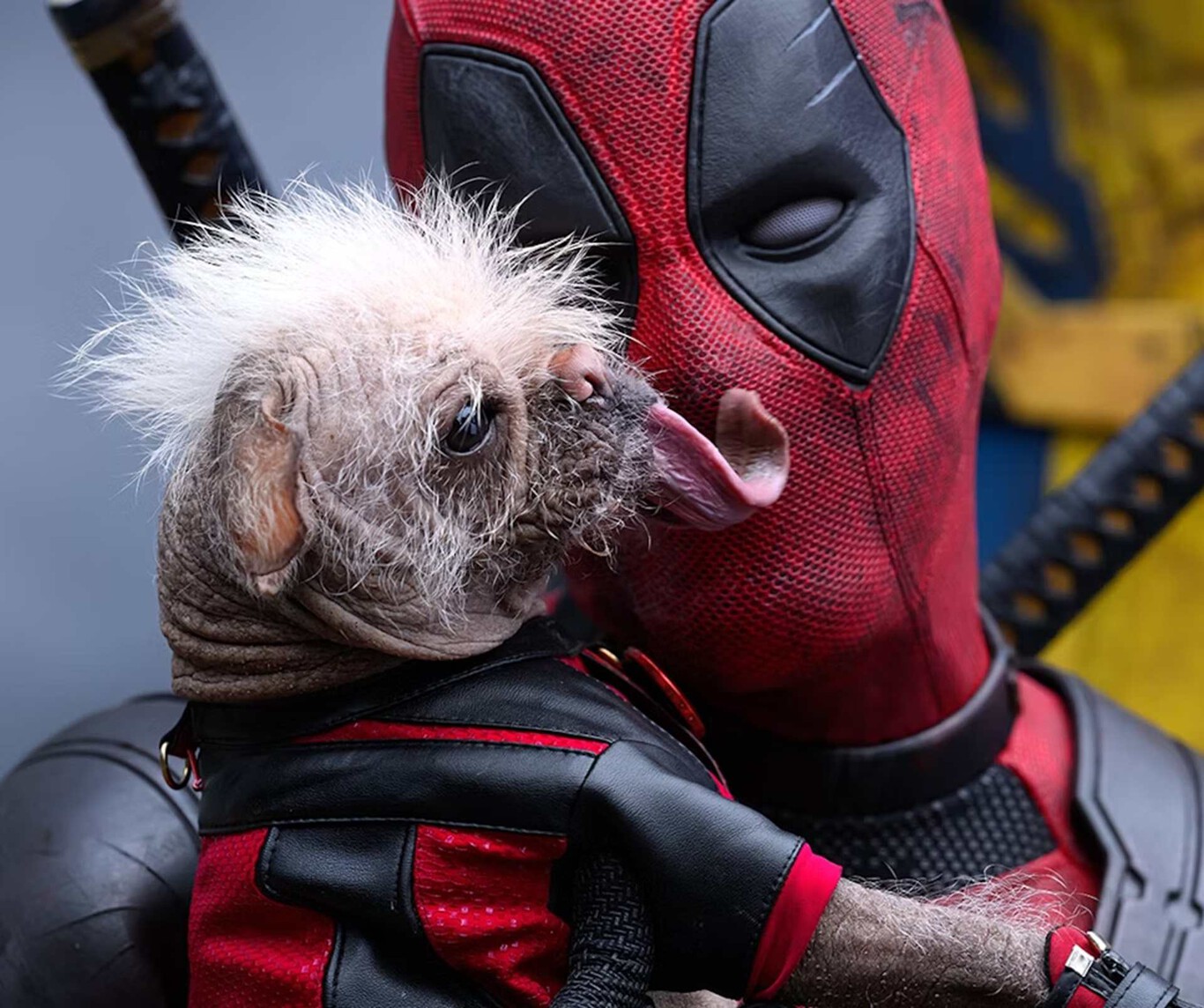 Alguien vio los primeros 35 minutos de Deadpool y Wolverine, y estos ...