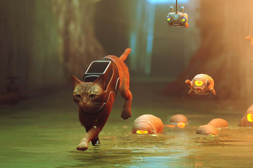 Stray no solo nos ha conquistado, sino que nos ha inspirado a ser más ...