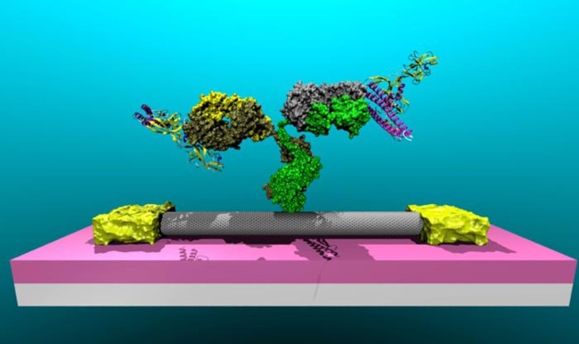 Estos nuevos nanotubos de carbono ponen en jaque al silicio: más carga, más eficiencia