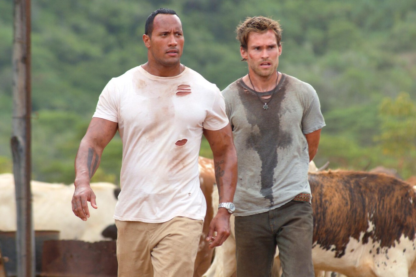 Dwayne Johnson se consagró en Hollywood con esta explosiva buddy movie ...