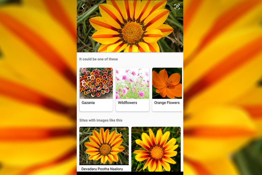 Microsoft estrena un buscador visual a lo Google Lens para iOS y Android