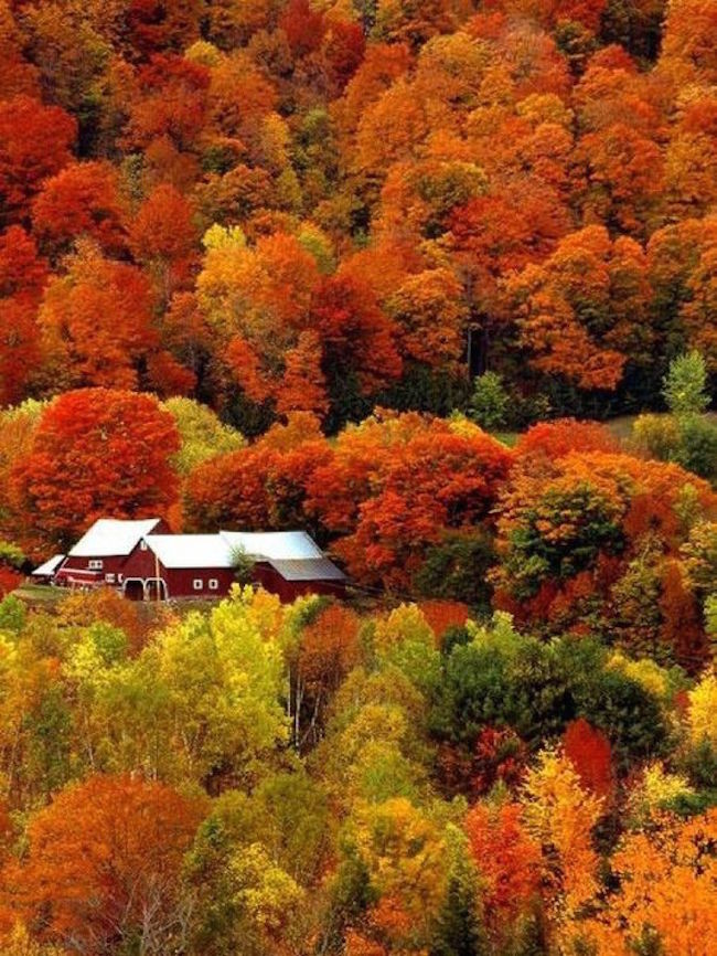 Bienvenido otoño: los 11 paisajes de campiña más relajantes del planeta