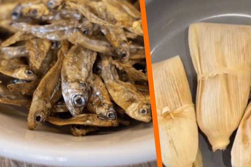 ¿Qué es el mextlapique? El saludable platillo que hizo Harold Azuara de ...