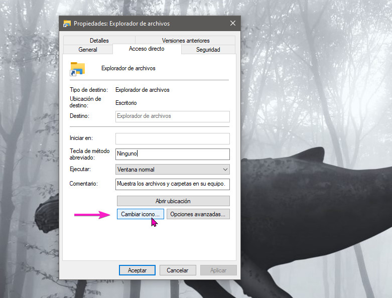 Cómo cambiar el icono del Explorador de archivos en Windows 10