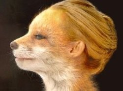 Híbridos de animales y seres humanos