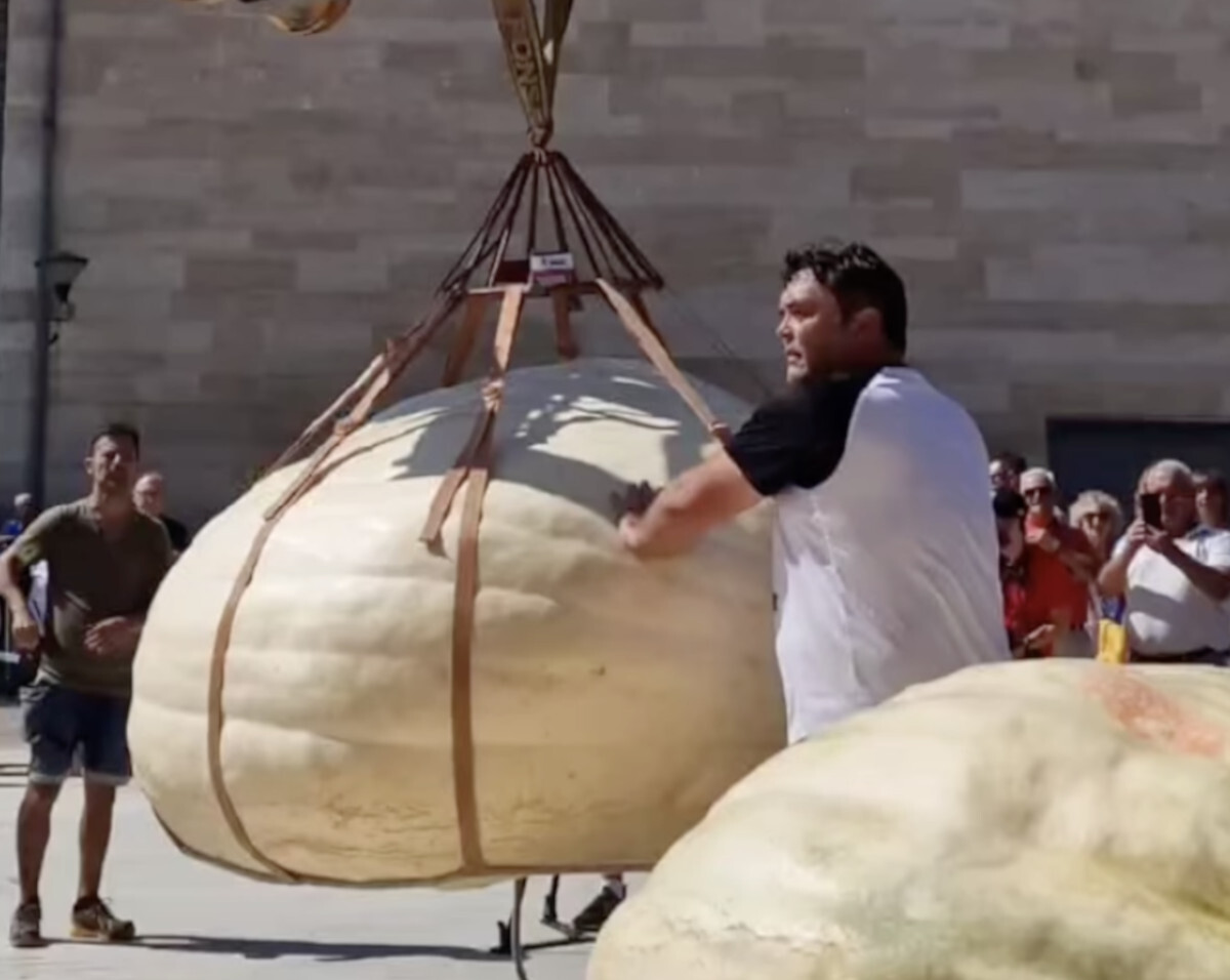Así es la Feria de las Calabazas Gigantes de Sidamon, el pueblo de ...