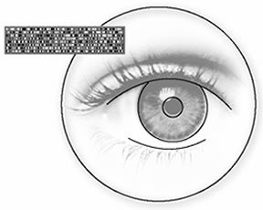 Mobile Iris: LG y la tecnología de reconocimiento de iris