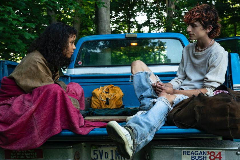 Tráiler de 'Hasta los huesos: Bones and All': así es el romance caníbal de Timothée Chalamet que ...