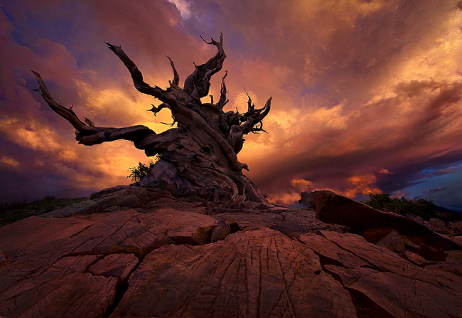 Marc Adamus: un paisajista con sello propio