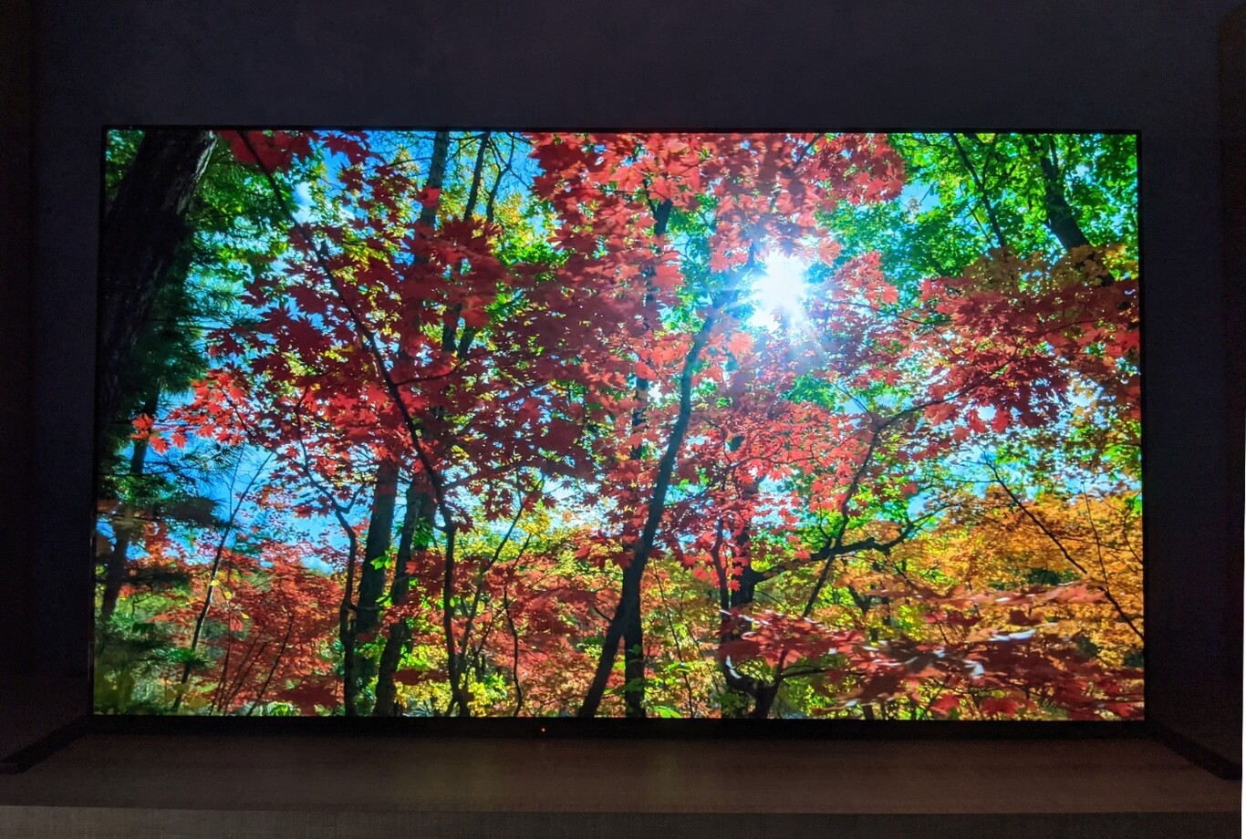 Sony A90J Bravia XR, análisis: review con características, precio y ...