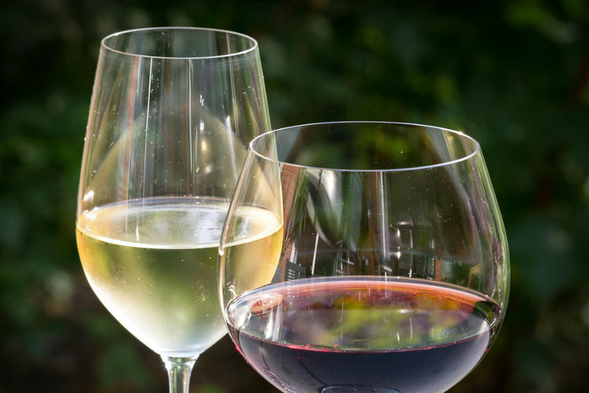 Los 19 mejores vinos de España de 2018 según los expertos