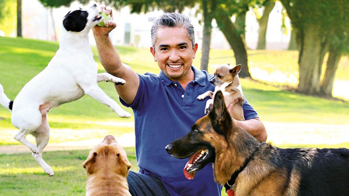 Biografía De Cesar Milan César Brie Biografia