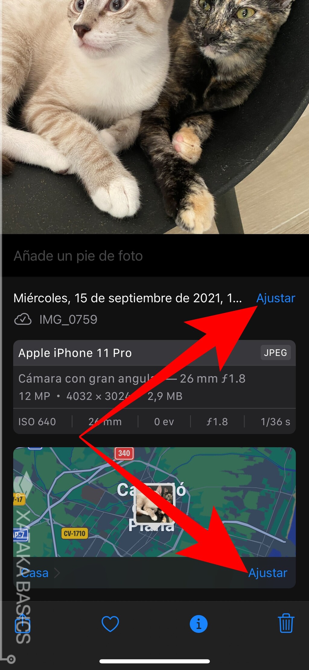 Cómo editar la fecha y la ubicación de tus fotos en iOS