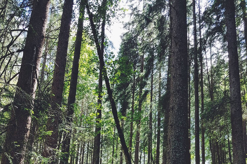 Esta sierra situada entre Aragón y Valencia es un oasis para ...