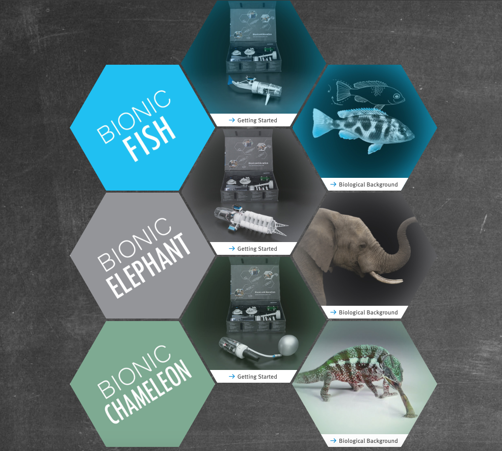 Festo Bionic Kit, análisis: review con características, precio y ...