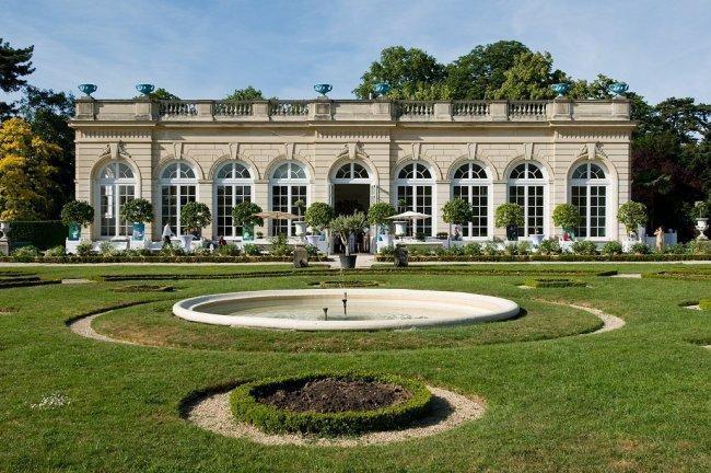 La Fundación Yves Rocher plantará 50 millones de árboles como ...