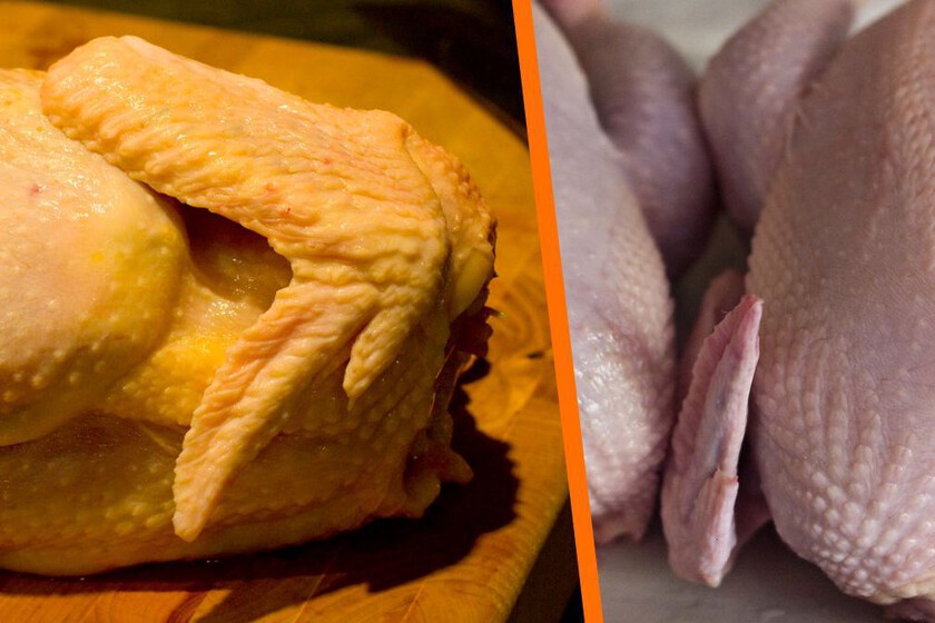 Amarillo o blanco, ¿por qué es diferente el pollo y cuál es más saludable?