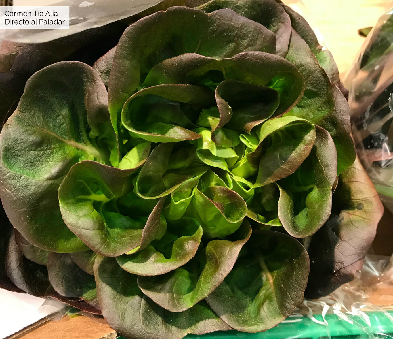 Las mejores ocho variedades de lechuga y recetas en las que usarlas