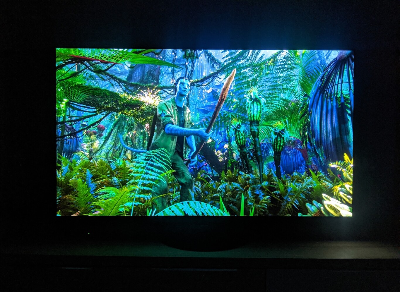 Panasonic JZ2000 OLED, análisis: review, características, precio y ...