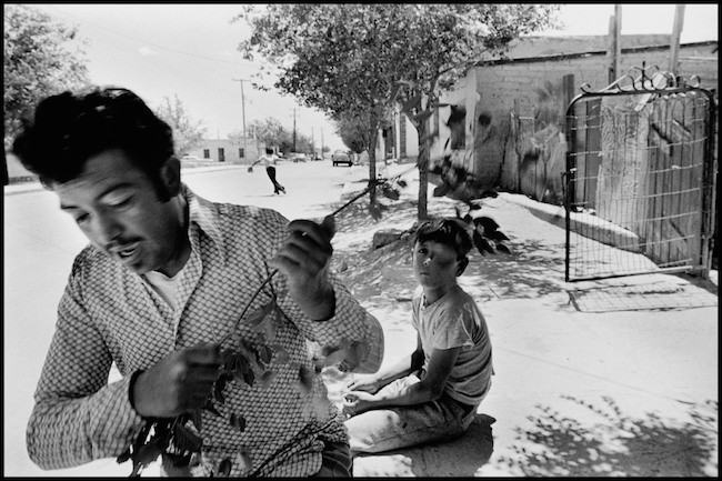 Alex Webb, el fotógrafo obsesionado con la realidad
