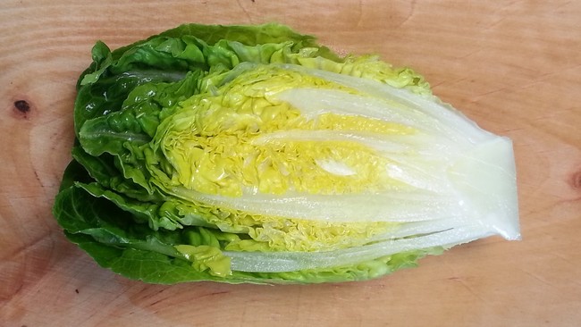 Muerte a la Iceberg: estas son las mejores ocho variedades de lechuga ...