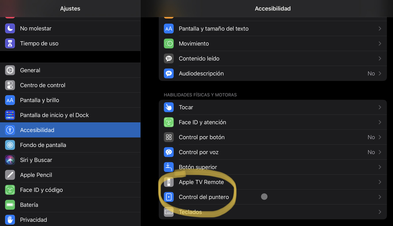 Ratón iPad: cómo cambiar el color de su cursor