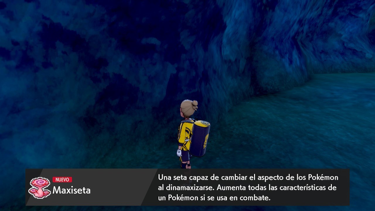 Pokémon Espada y Escudo: cómo superar la segunda prueba del Dojo en la expansión Isla de la Armadura