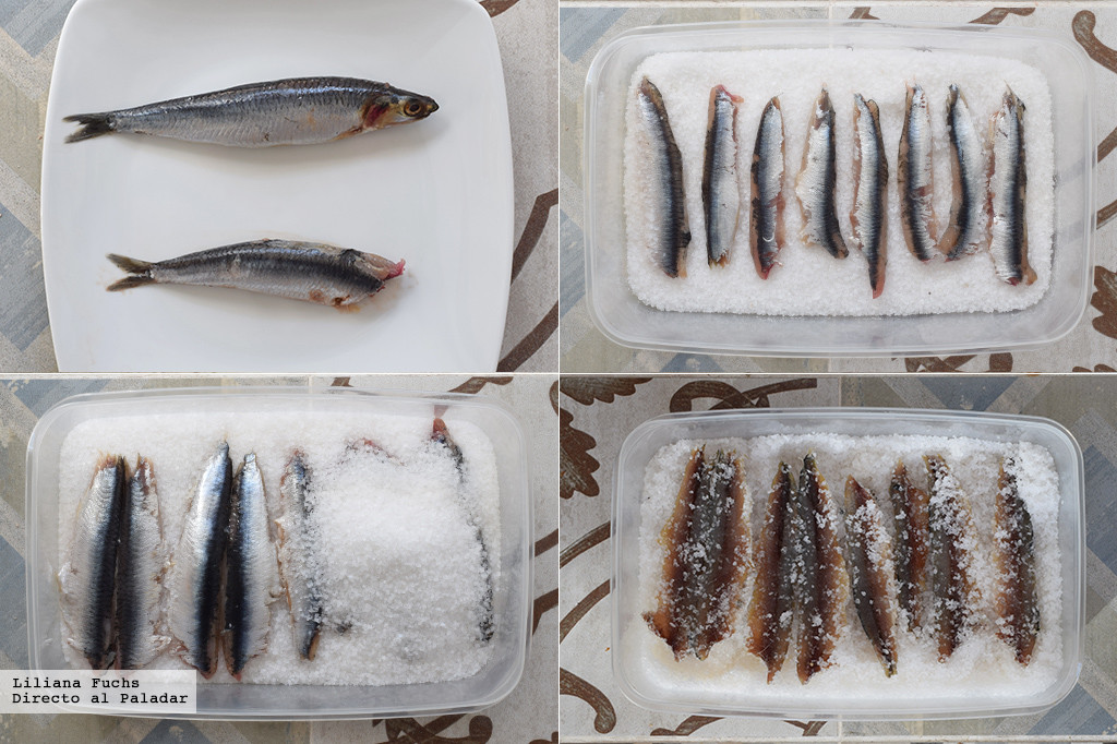 Anchoas caseras en salazón. Receta de cocina fácil, sencilla y deliciosa