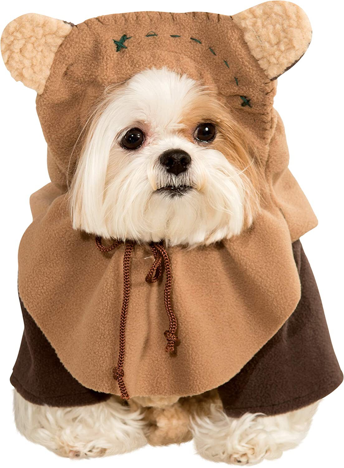 Siete disfraces para perros y gatos con los que celebrar Carnaval con ...