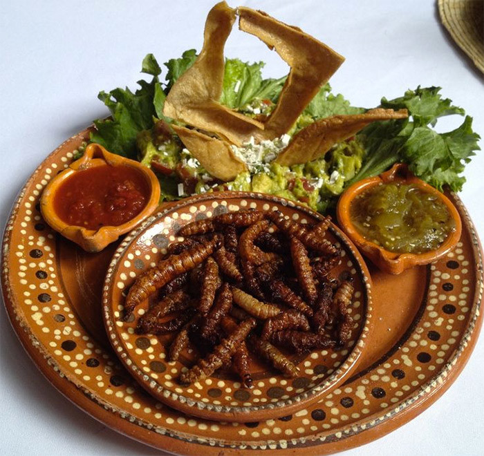 Los insectos comestibles en México, un mercado que se mantiene vivo