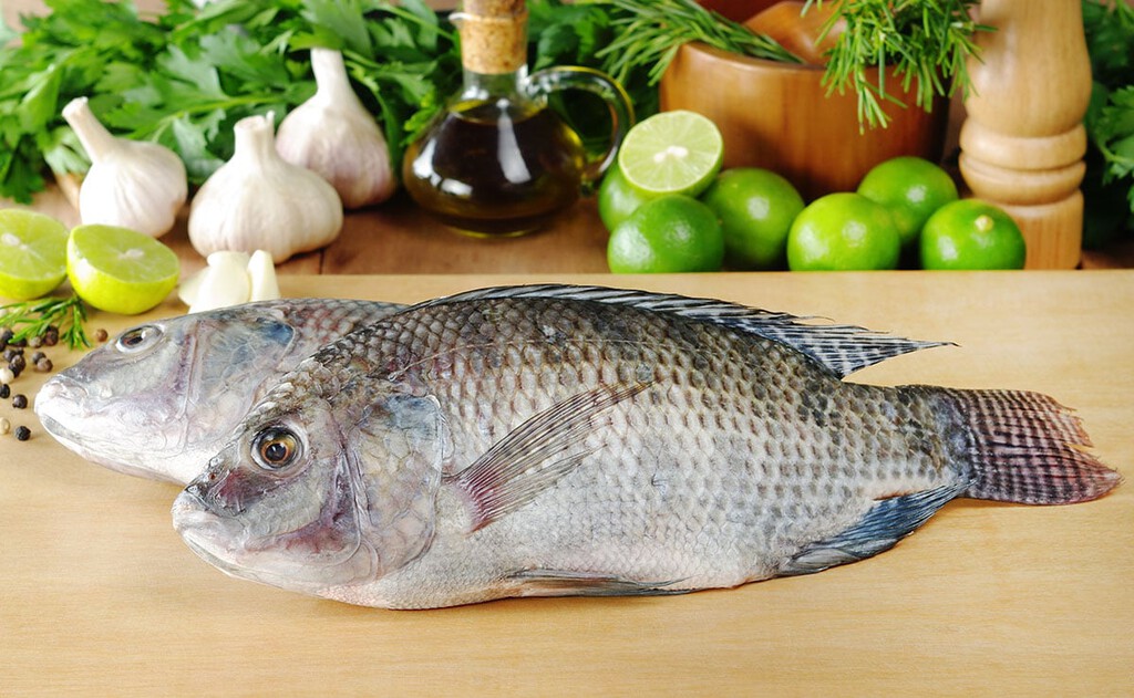 Cómo preparar mojarras fritas. Crujientes por fuera y suaves por dentro