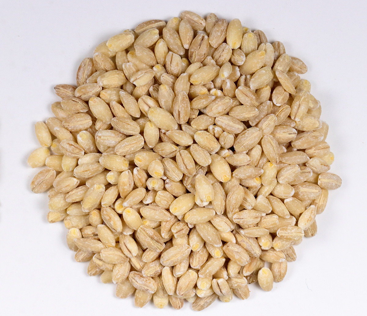 Horchata de arroz, cebada, almendra o melón: el devenir de la bebida ...