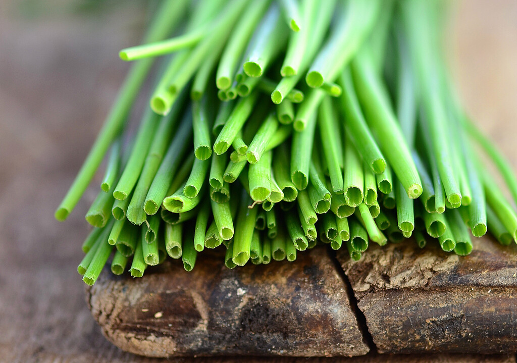 Cebollino o cebollín, la elegante hierba aromática con un suave sabor ...