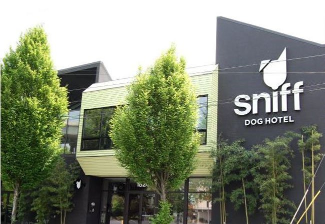 Sniff Dog Hotel, el hotel para perros en Portland, USA