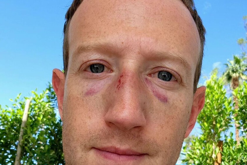 El entrenamiento viral de Mark Zuckerberg: se pone a hacer Jiu-Jitsu en ...