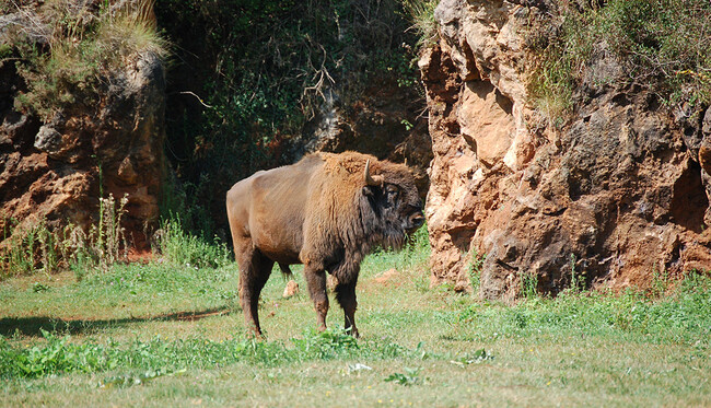 Todo lo que necesitas saber para visitar el Parque de la Naturaleza de ...