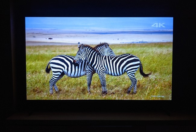 Sony A8 OLED TV, análisis: review con características, precio y ...