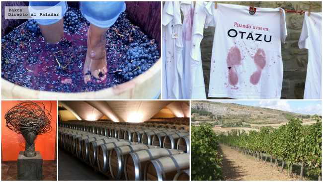 Las ganadoras de MasterChef China conocían la cocina molecular pero no ...