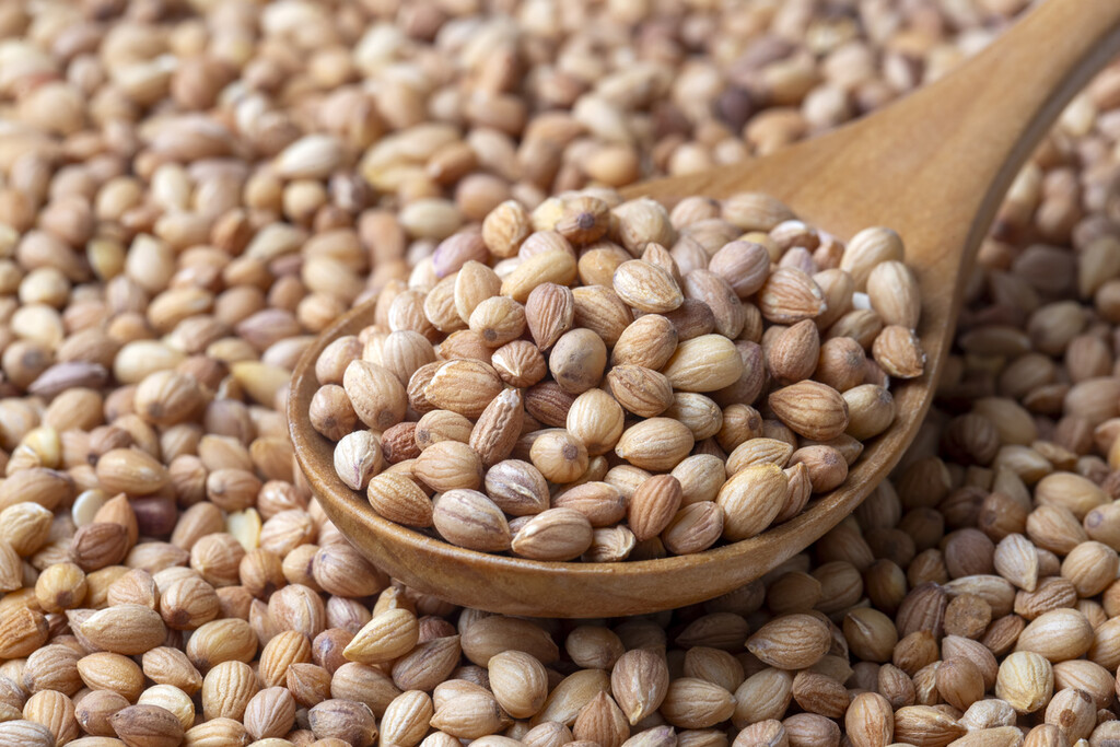 Qué es el mahlab o mahlep, la dulce especia mediterránea de un cerezo peculiar: características ...