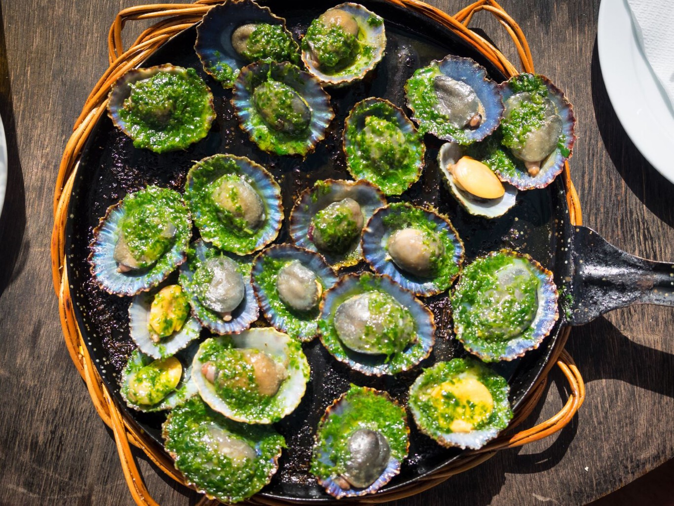 Qué es la llámpara o lapa, un molusco muy común en nuestras costas pero ...