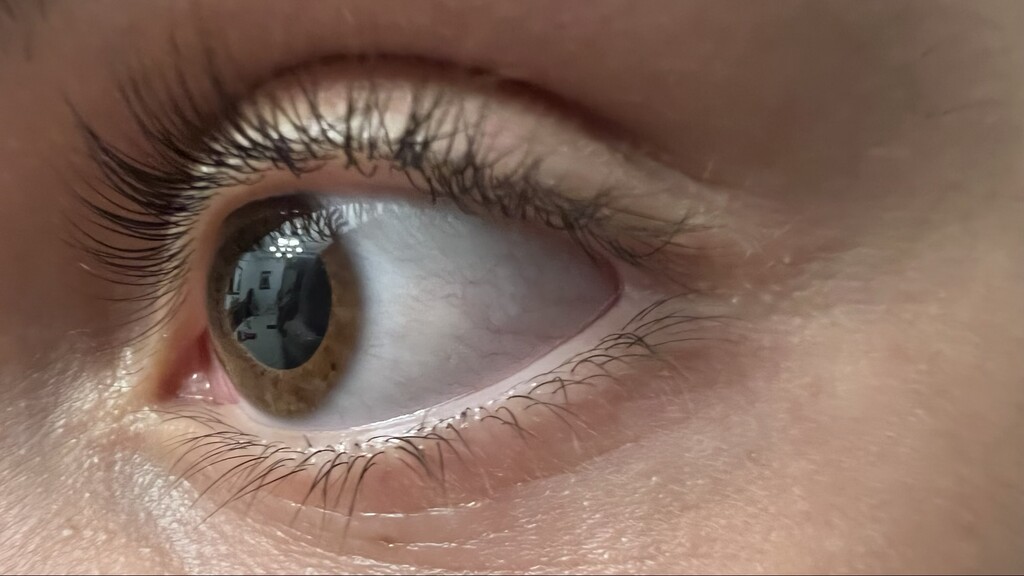 Apple iPhone 13 Pro iPhone 13 Pro Max: análisis, review a fondo de sus ...