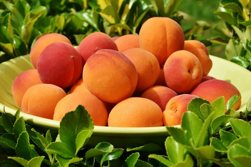 Siete recetas con albaricoques para aprovechar su mejor momento