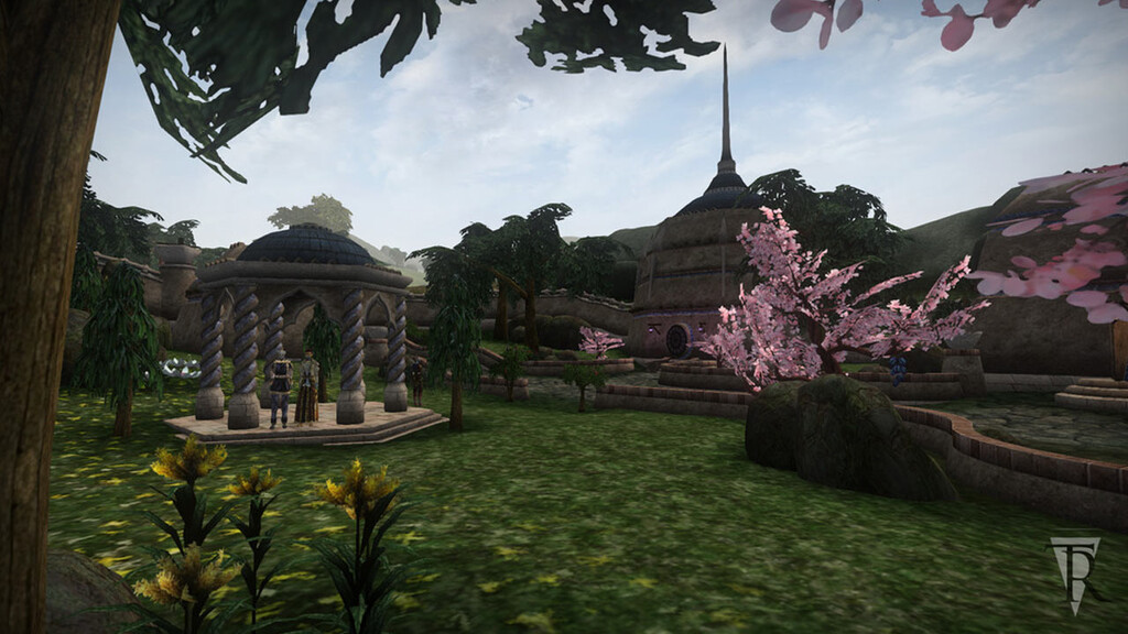 Los fans de The Elder Scrolls llevan más de 20 años soñando con ello, pero pronto podrán elegir ...