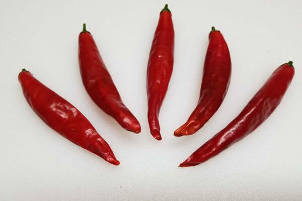 Chile pico de pájaro: un ingrediente que le da sentido a la cocina huasteca