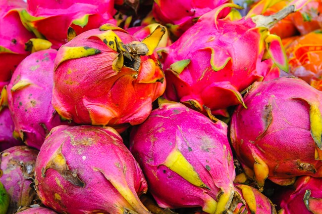 Pitahaya, pitaya o fruta del dragón. Características, propiedades y ...