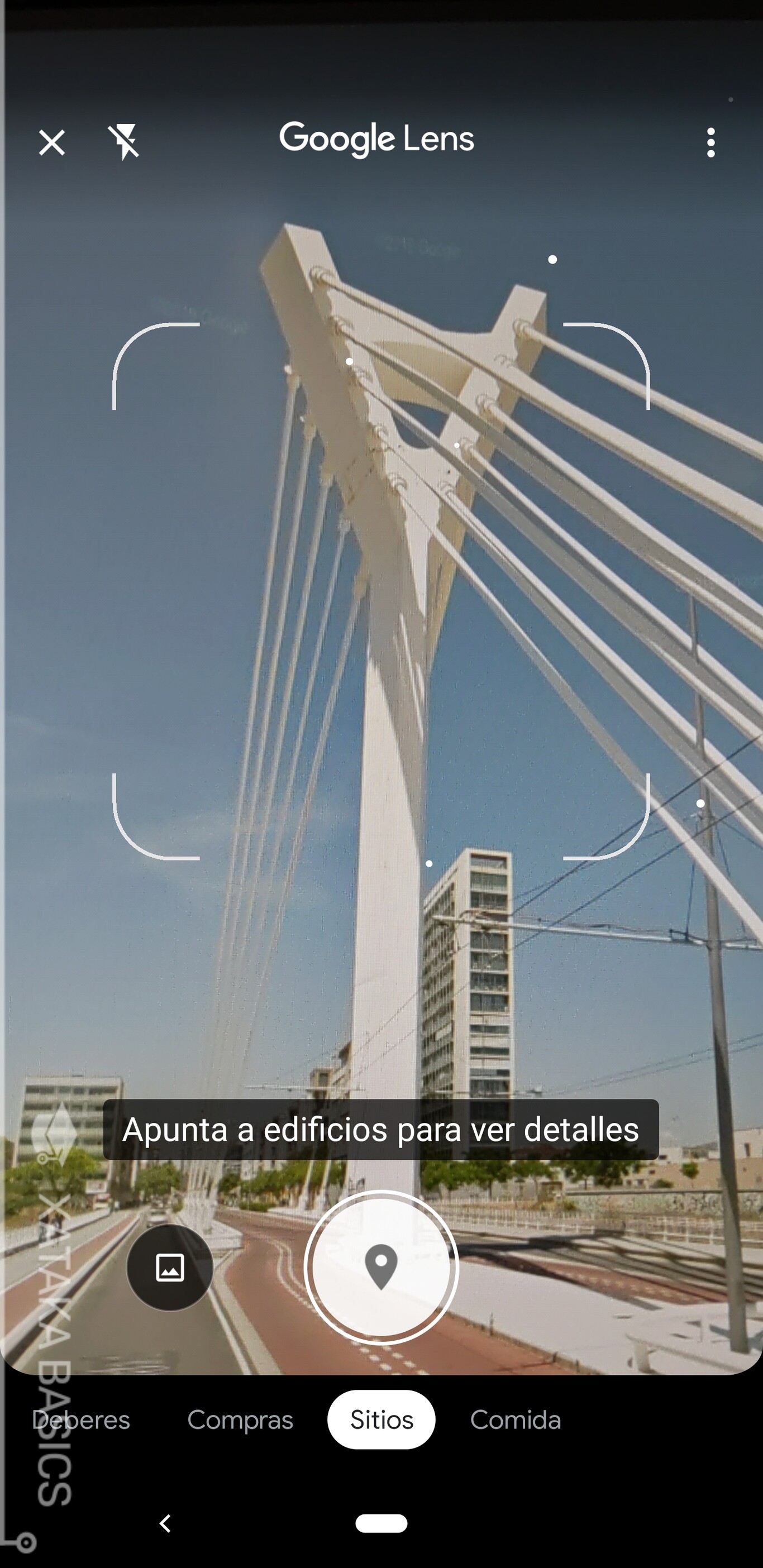 Google Lens: todo lo que puedes hacer con la aplicación de Google